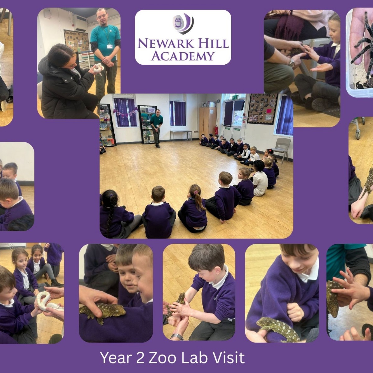 Newark Hill Academy - 14-01-26 Zoo Lab Year 2
